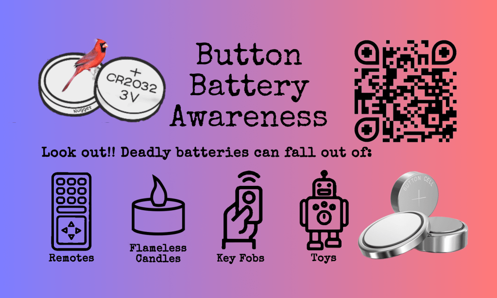 Button Battery Awareness – Education about the dangers of button ...